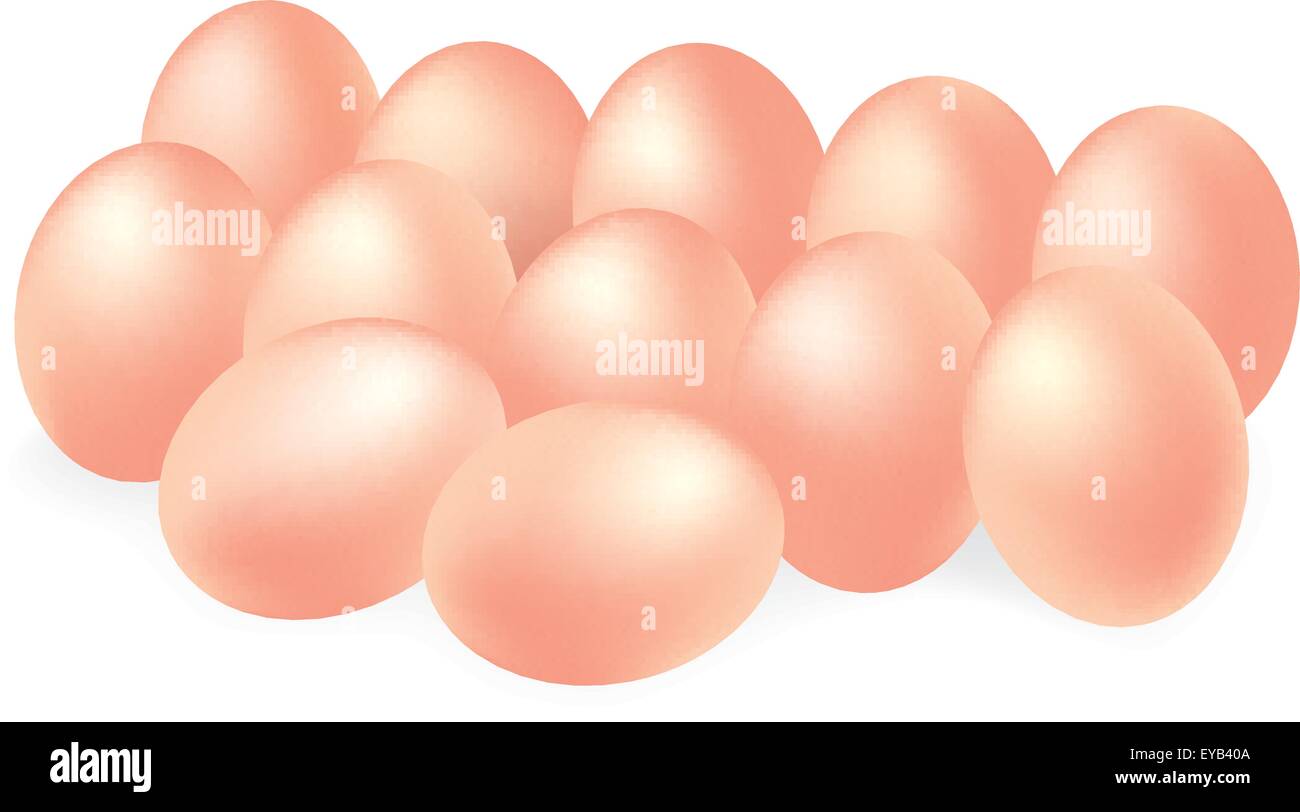 Vector illustration of dozen eggs Stock Vector Image & Art - Alamy