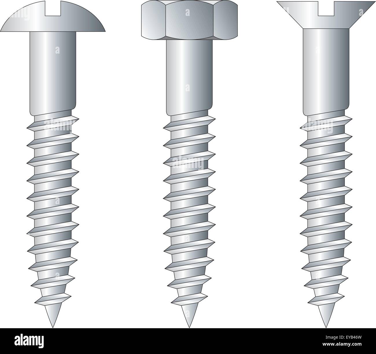 Vector illustration of screws Stock Vector Image & Art - Alamy