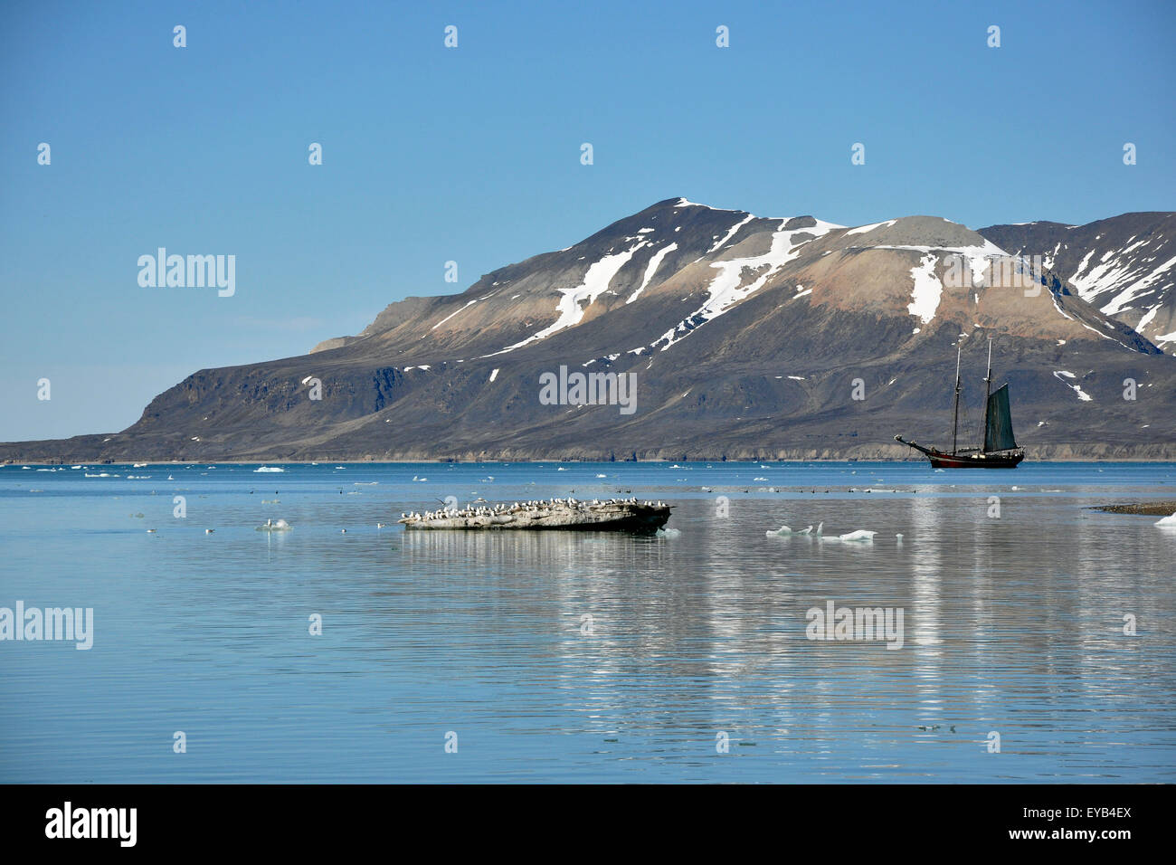 Norway, Svalbard islands, Spitsbergen island Stock Photo - Alamy