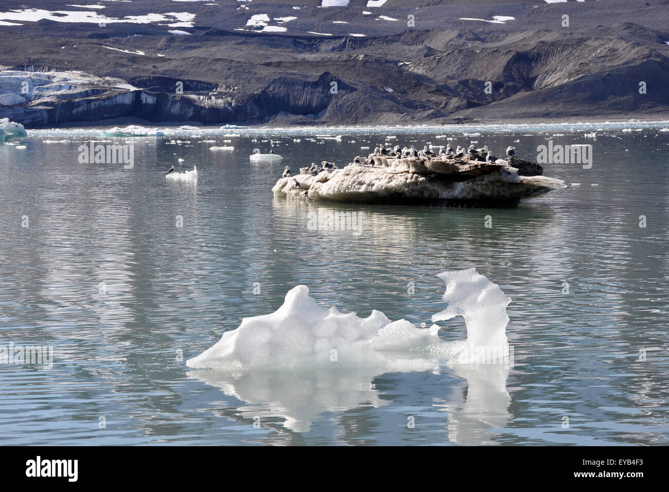 Norway, Svalbard islands, Spitsbergen island Stock Photo - Alamy