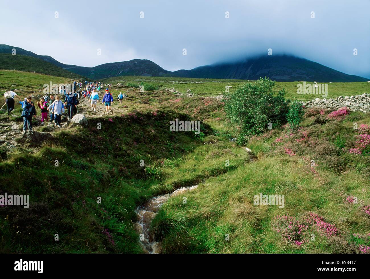 Croagh Patrick, Co Mayo, Ireland; People On A Pilgrimage Stock Photo ...