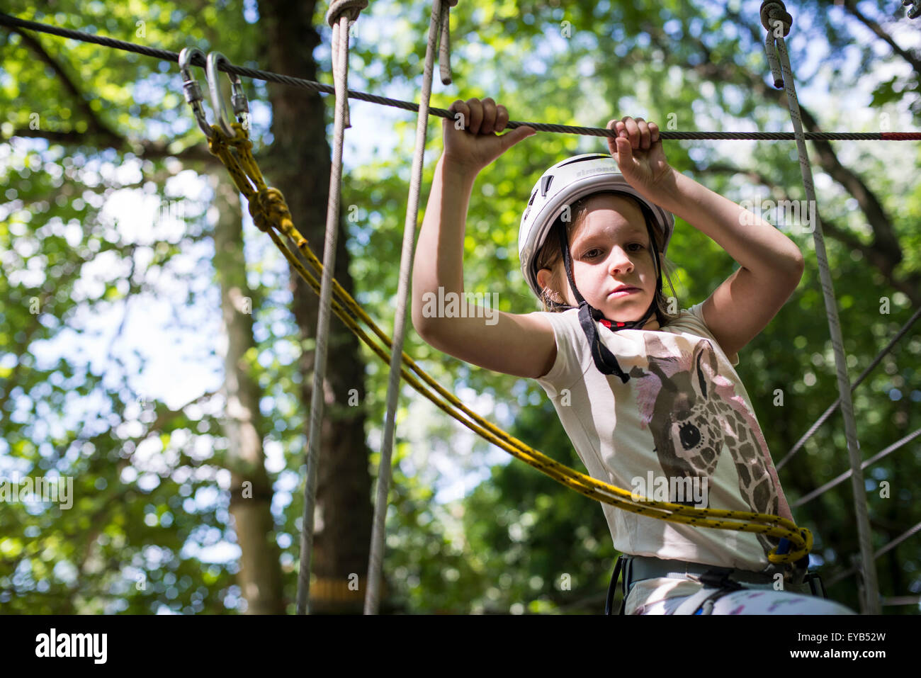 Primary-school boy involved in ropes course climbing activity in ...