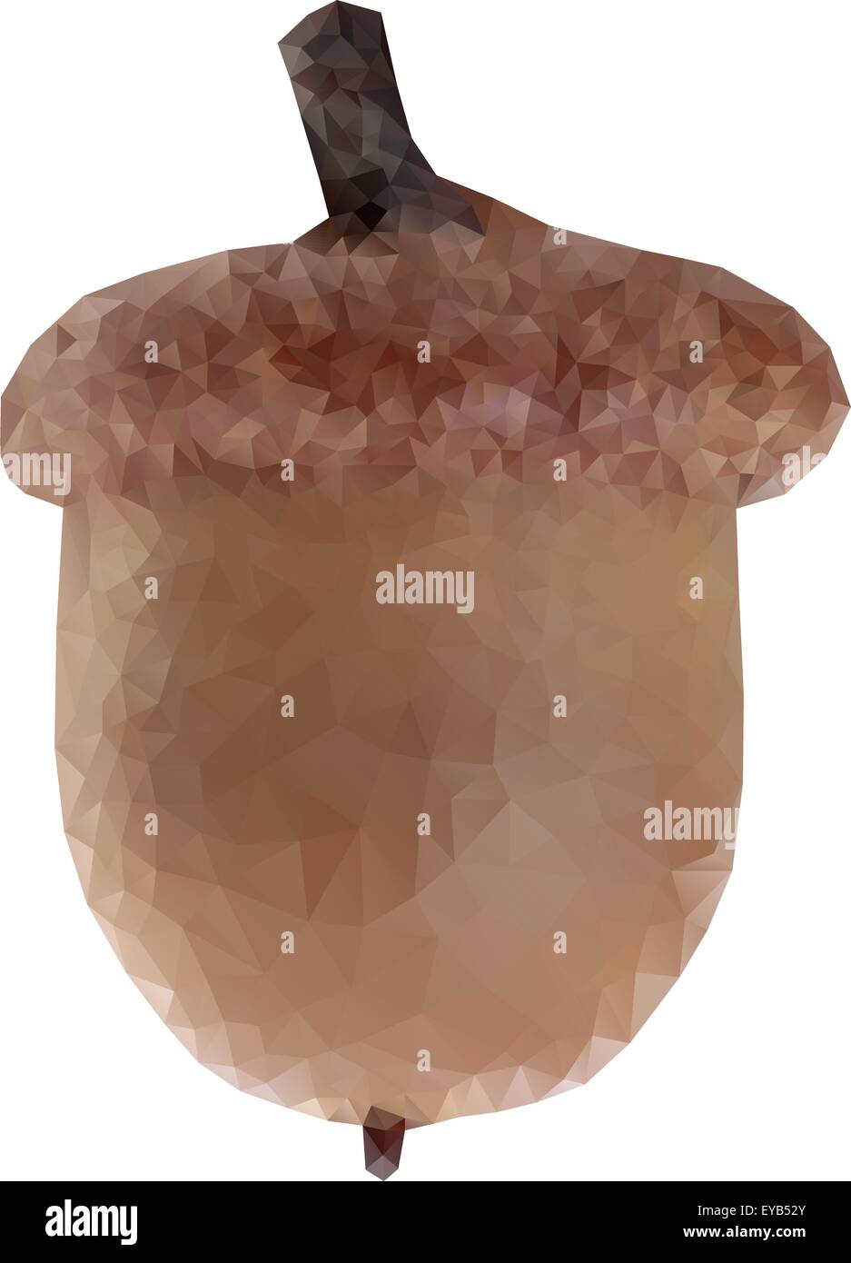 Vector Illustration of Low Poly Acorn Stock Vector Image & Art - Alamy