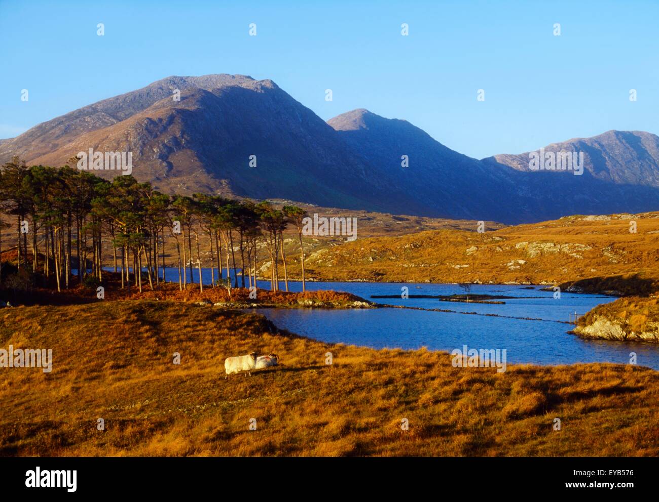 Derryclare Lake, Connemara, Co Galway, Ireland; Irish Landscape Stock ...