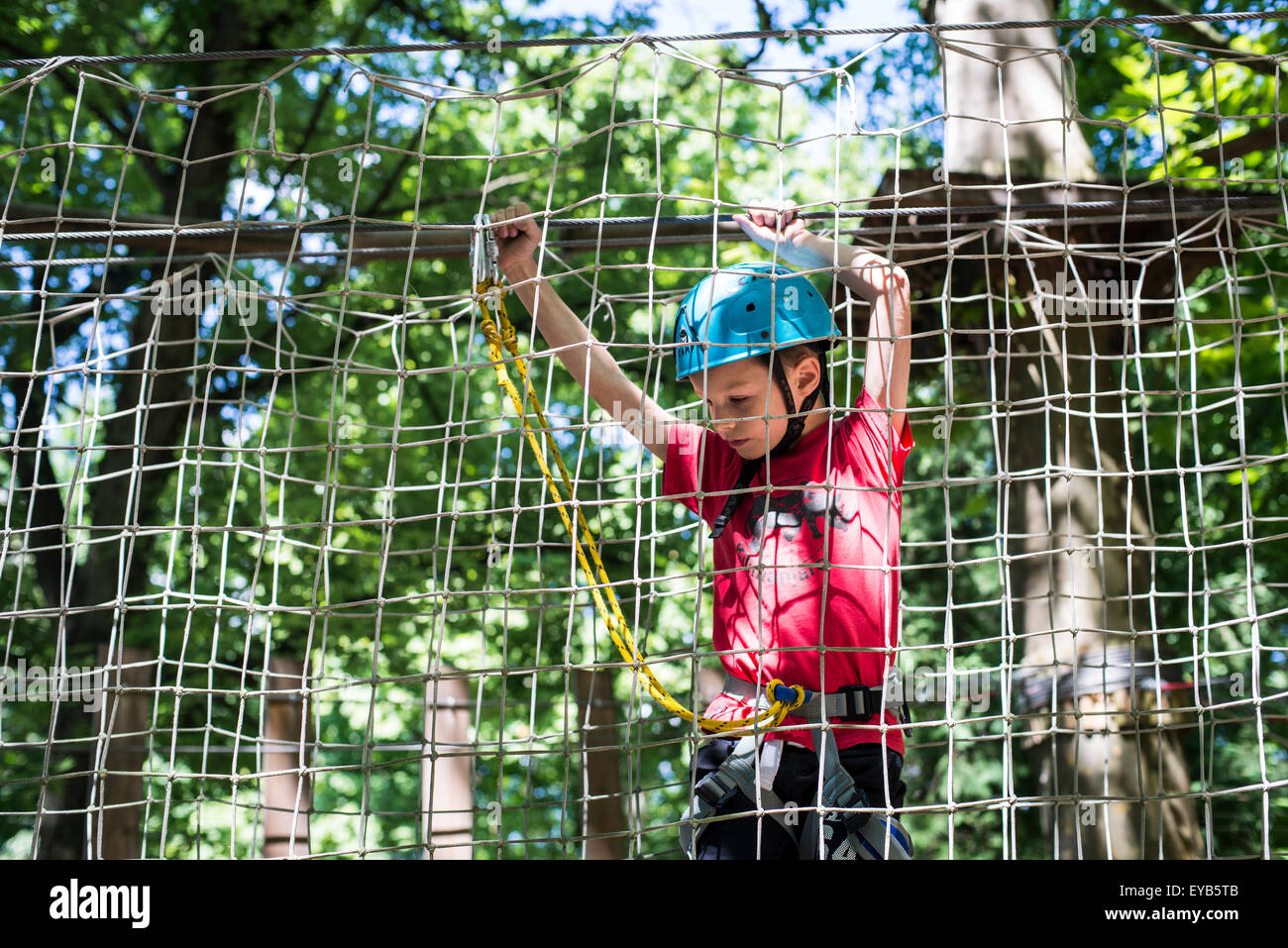 Primary-school boy involved in ropes course climbing activity in ...