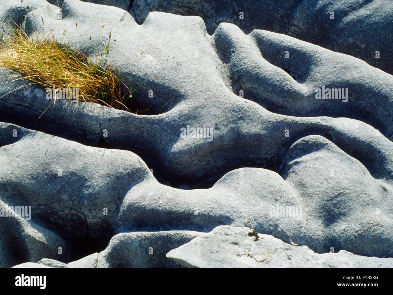 Burren, Co Clare, Ireland; Rock Formation In A Karst-Landscape Region ...