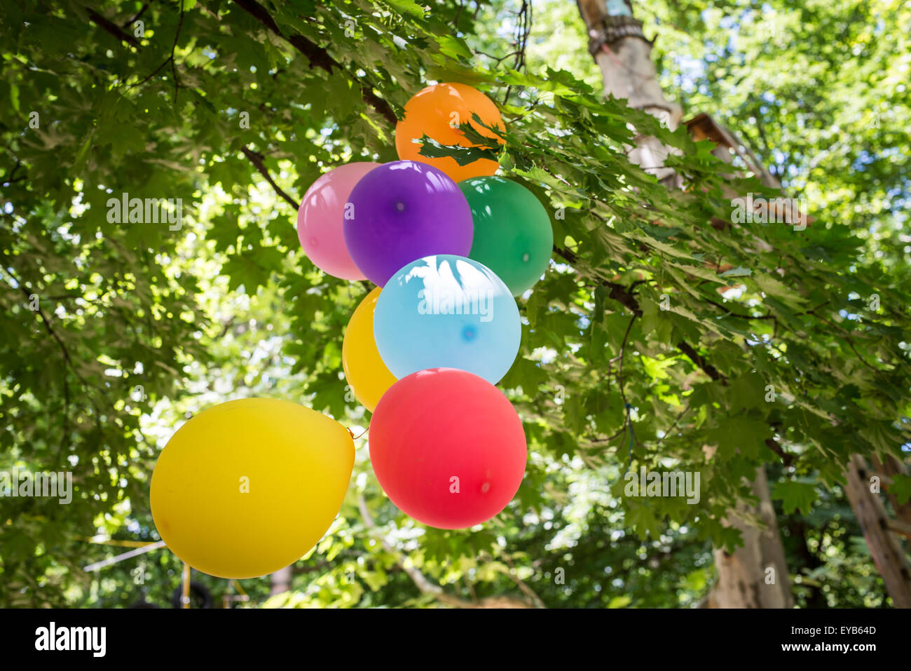 Outdoor birthday party balloons hi-res stock photography and images - Alamy