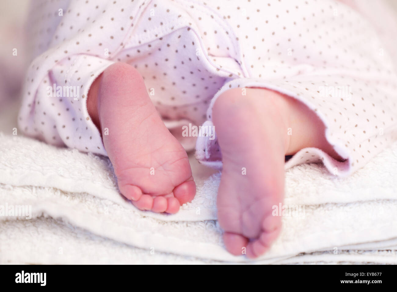 6 week old baby hi-res stock photography and images - Alamy
