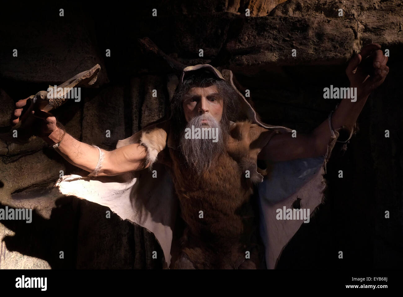 A life size dummy depicting an ancient caveman displayed at the museum ...