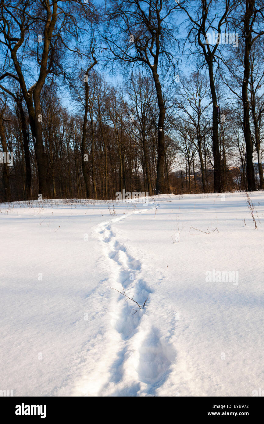 Tracing curve hi-res stock photography and images - Alamy