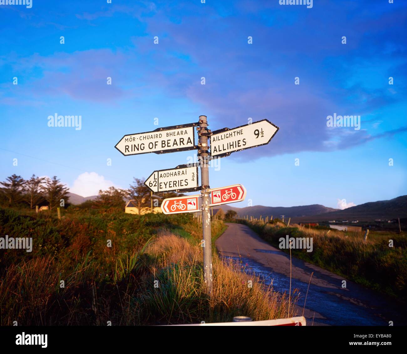 Road Signs, Beara Peninsula, County Kerry, Ireland Stock Photo - Alamy