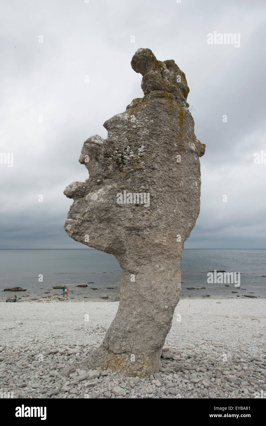 Stack or seastack – a geological landform consisting of a steep and ...
