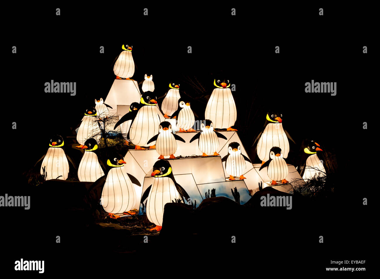 penguins on the light festival in the night Stock Photo - Alamy
