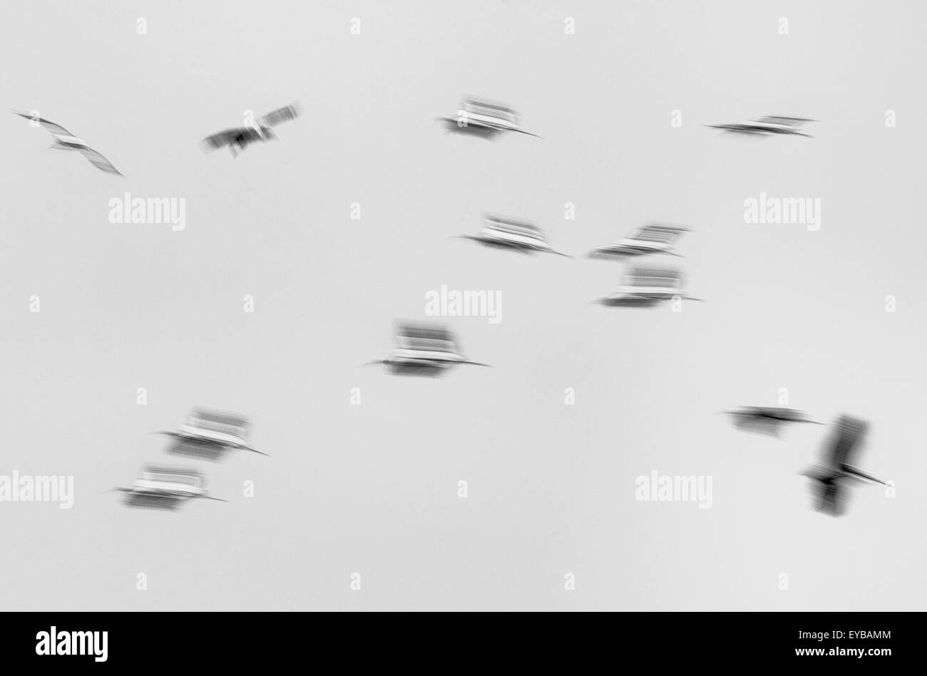 Abstract shape form art hi-res stock photography and images - Alamy