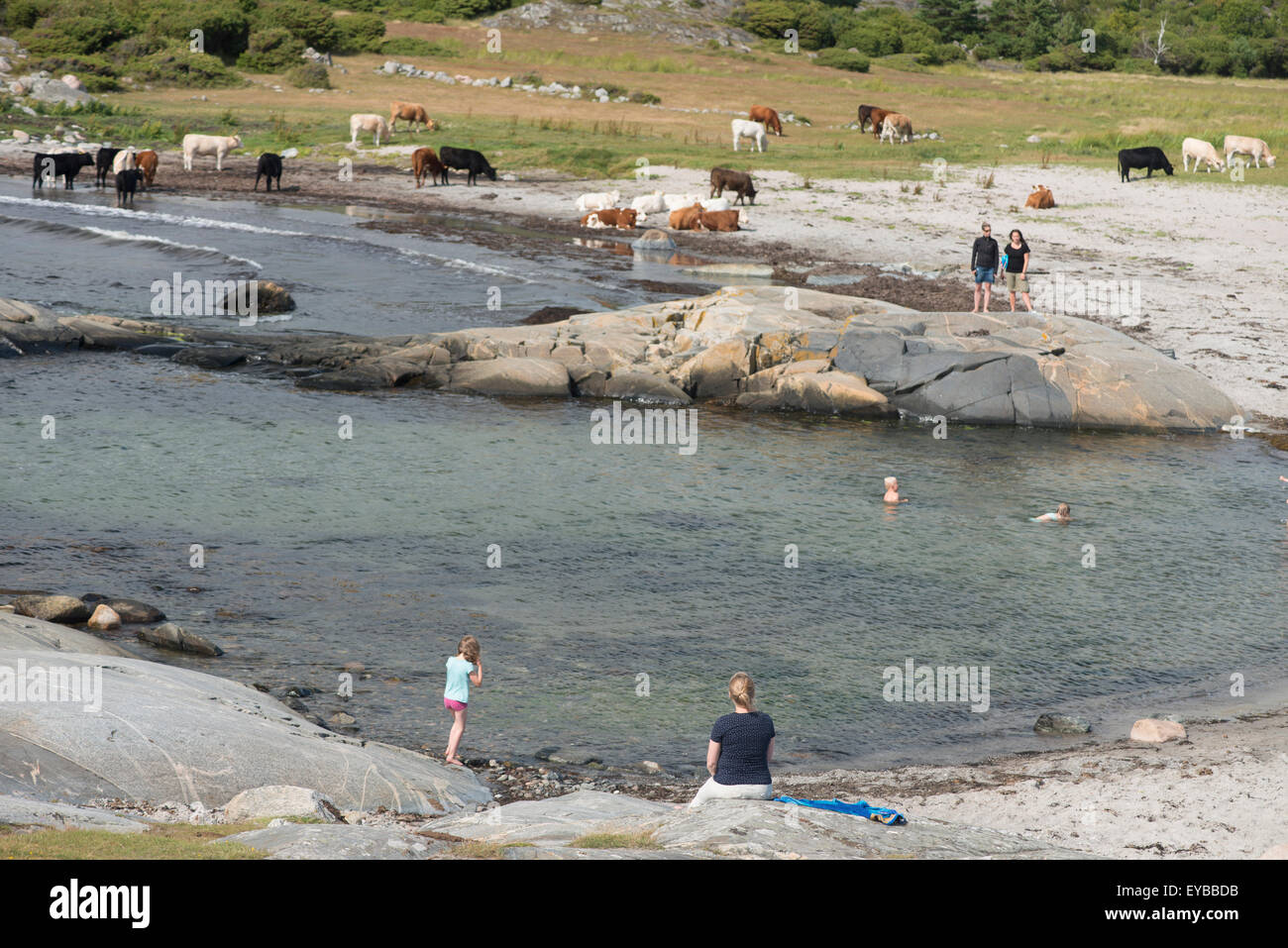 Halland nature hi-res stock photography and images - Alamy