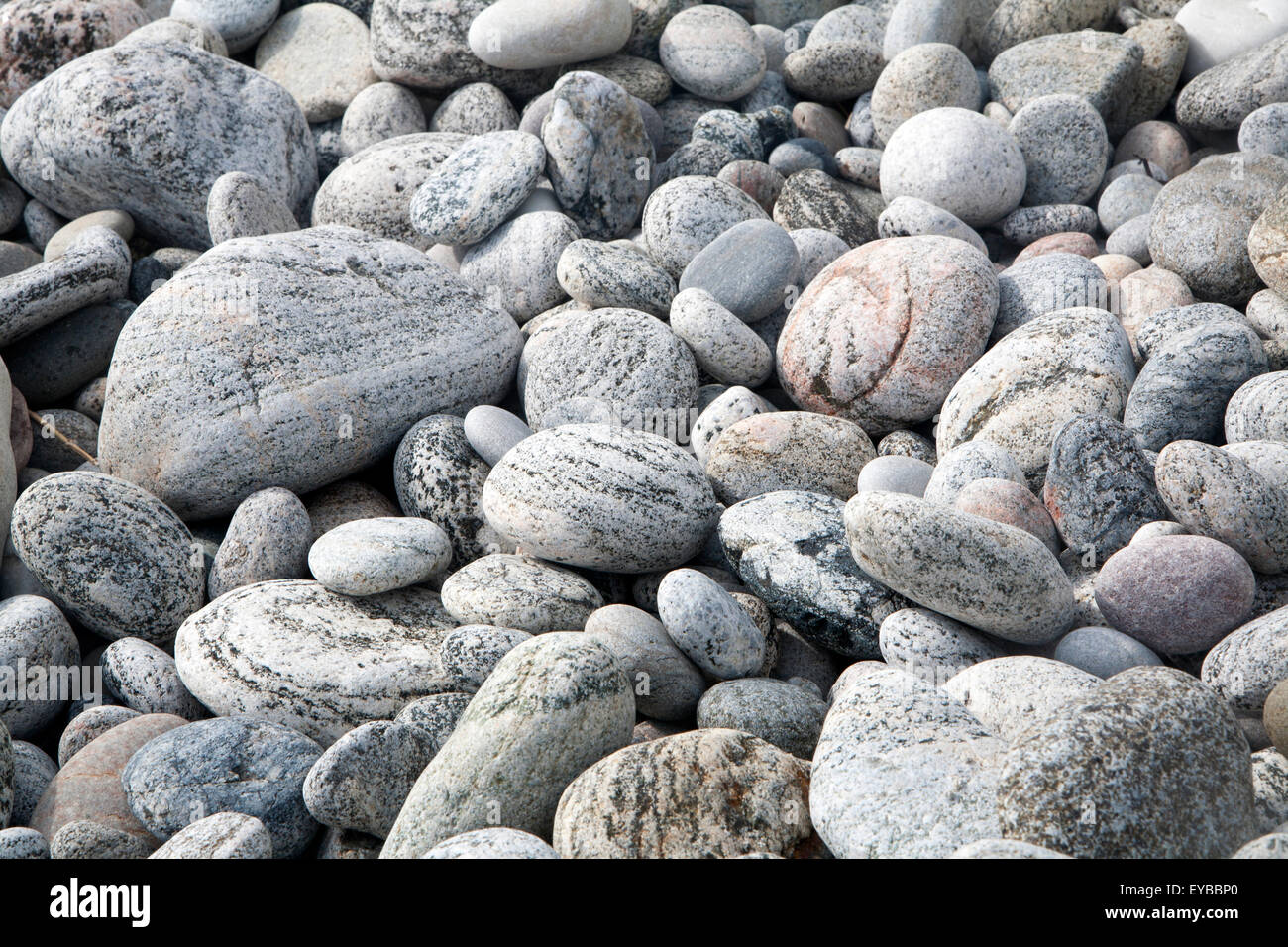 Close up of rounded beach pebbles illustrating erosional process of ...