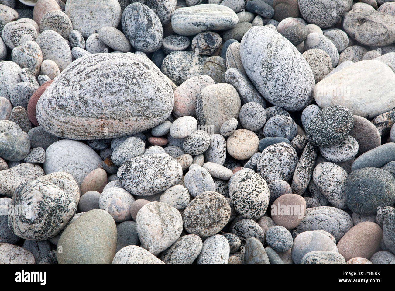 Close up of rounded beach pebbles illustrating erosional process of ...