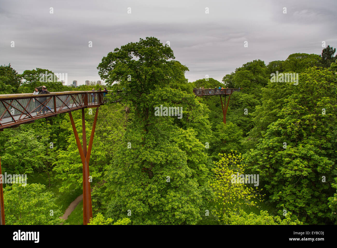 Kew Gardens London treetop walkway Stock Photo - Alamy