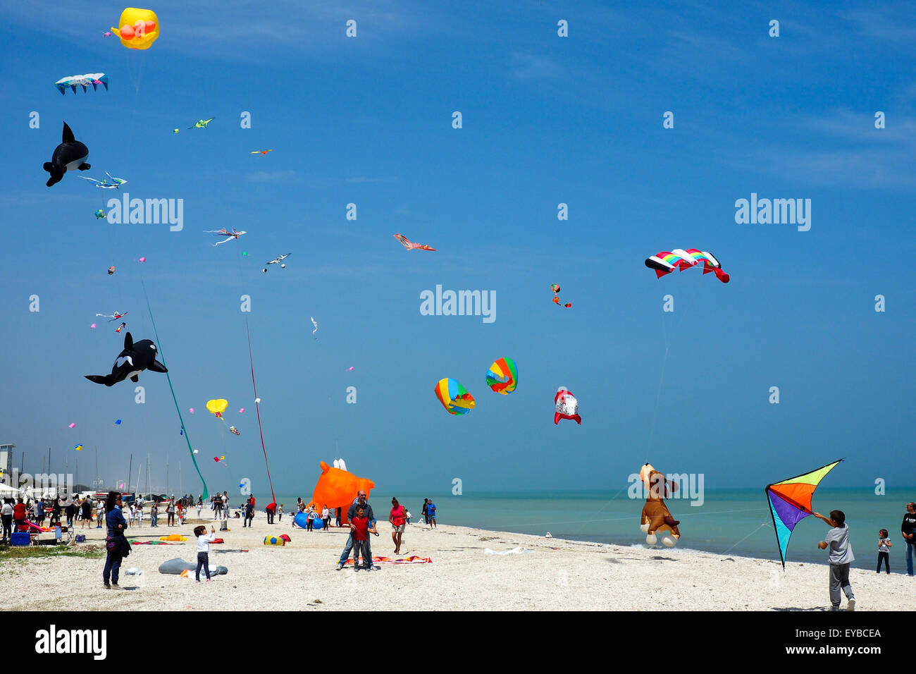 Colourful and animal shaped kites flying over a beach Stock Photo - Alamy