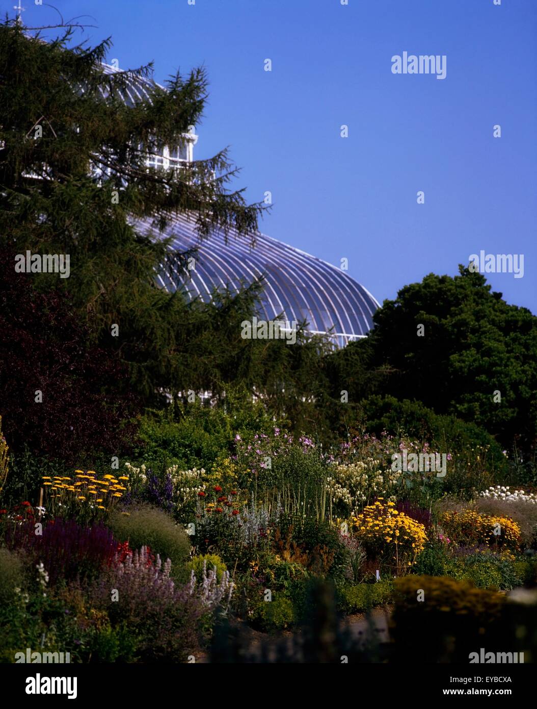 Irish National Botanic Gardens, Dublin, Co Dublin, Ireland Stock Photo ...