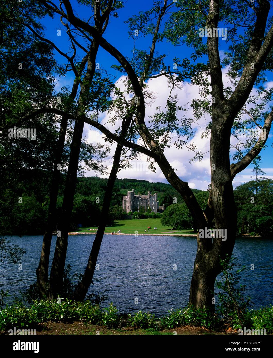 Castlewellan Lake And Forest Park, Castlewellan, Co Down, Ireland ...