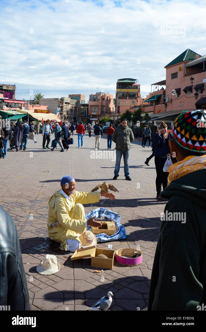 A North African Arabic scene with a hawker showing his hawk in ...