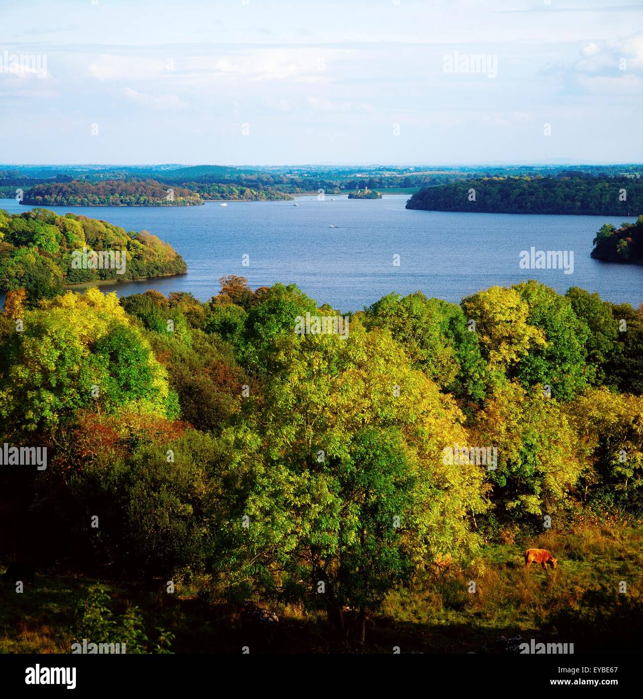 Roscommon Castle Roscommon Ireland Stock Photos & Roscommon Castle ...