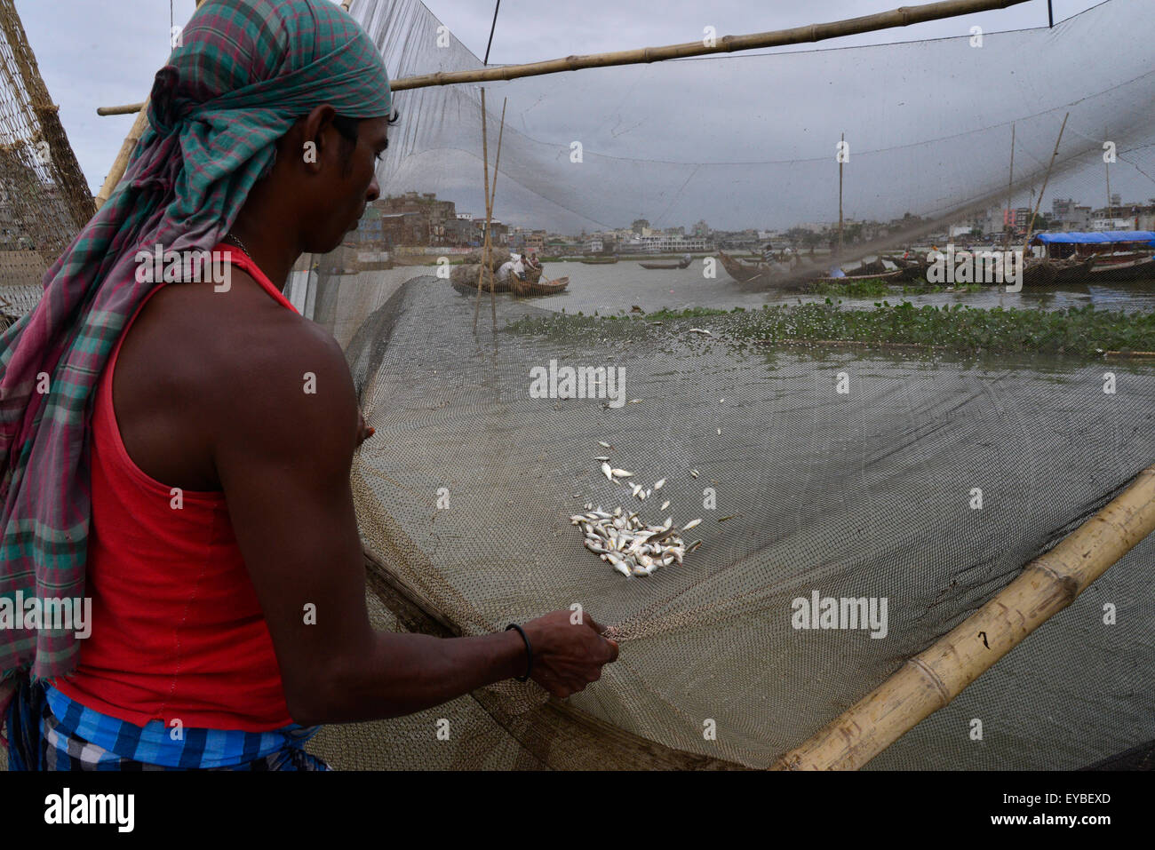 Dhaka, Bangladesh. 26th July, 2015. A Bangladeshi fisherman busy to ...