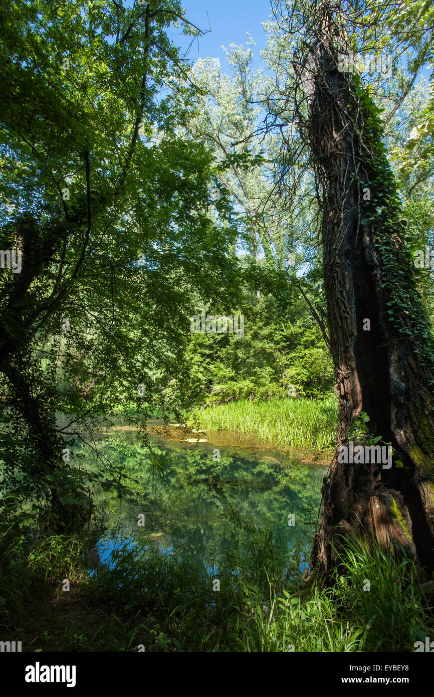 A huge Karst spring near Panega village, Balkans, Bulgaria, Eastern ...