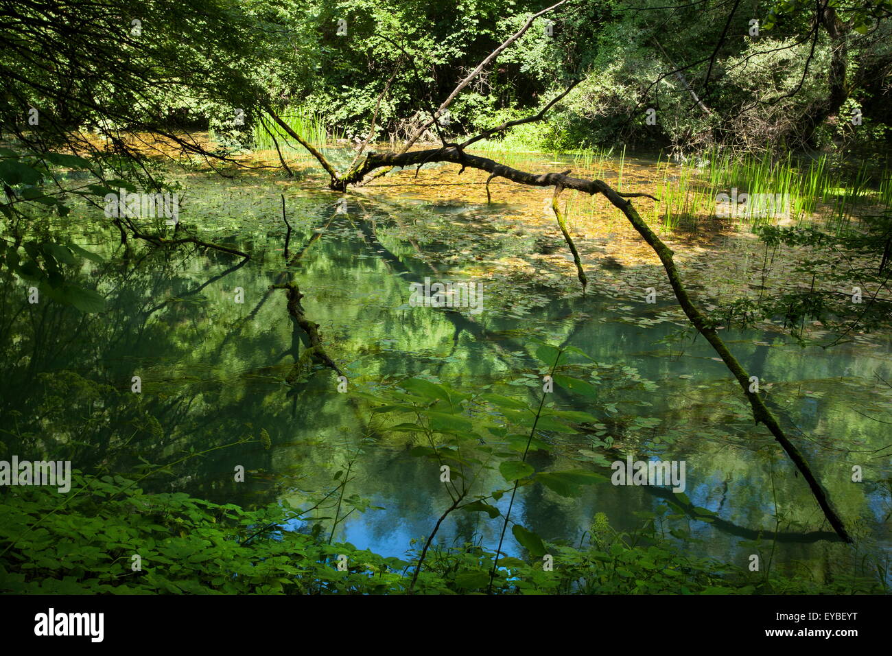 Karst Spring High Resolution Stock Photography and Images - Alamy