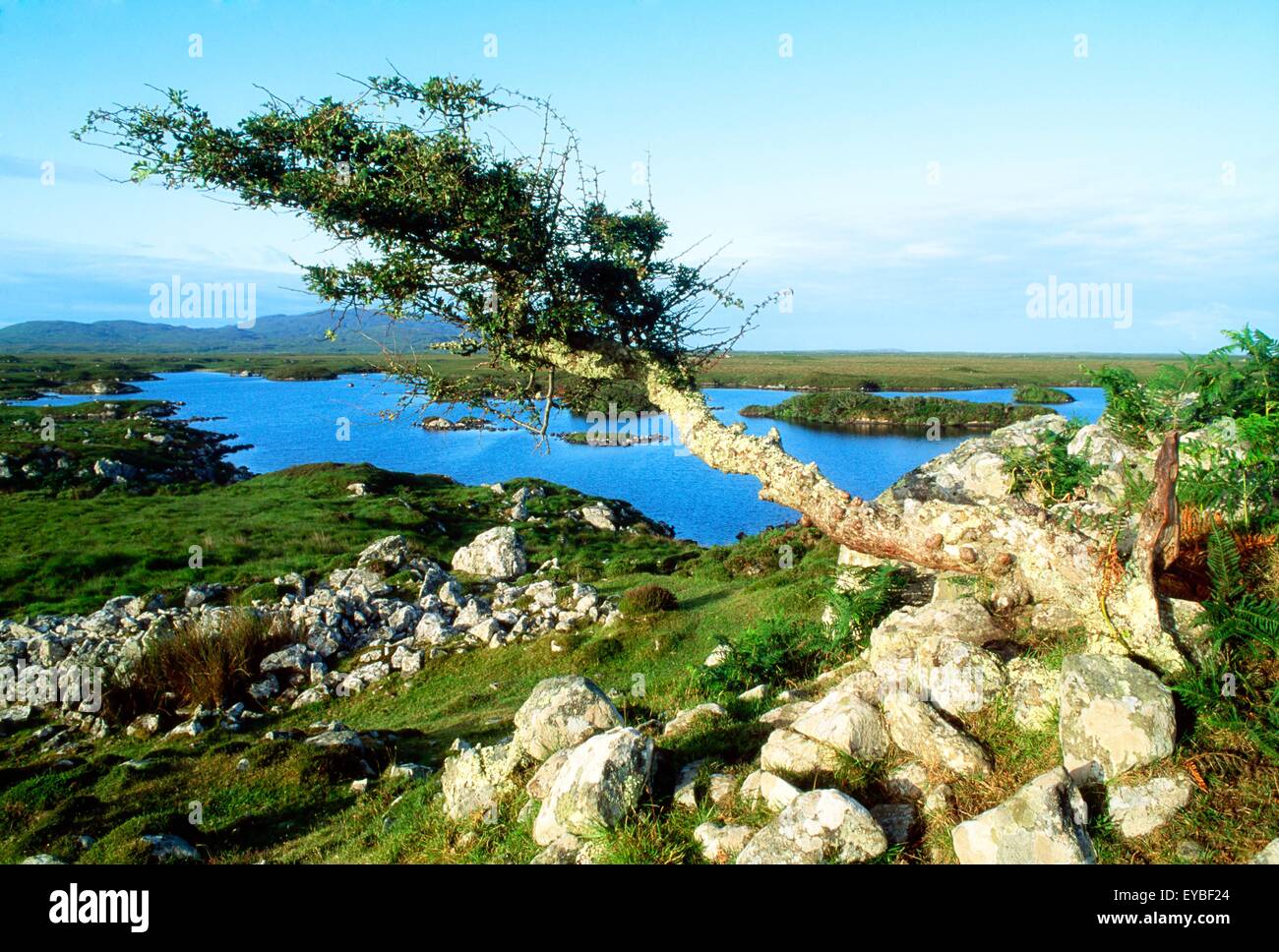 Roundstone bog connemara hi-res stock photography and images - Alamy
