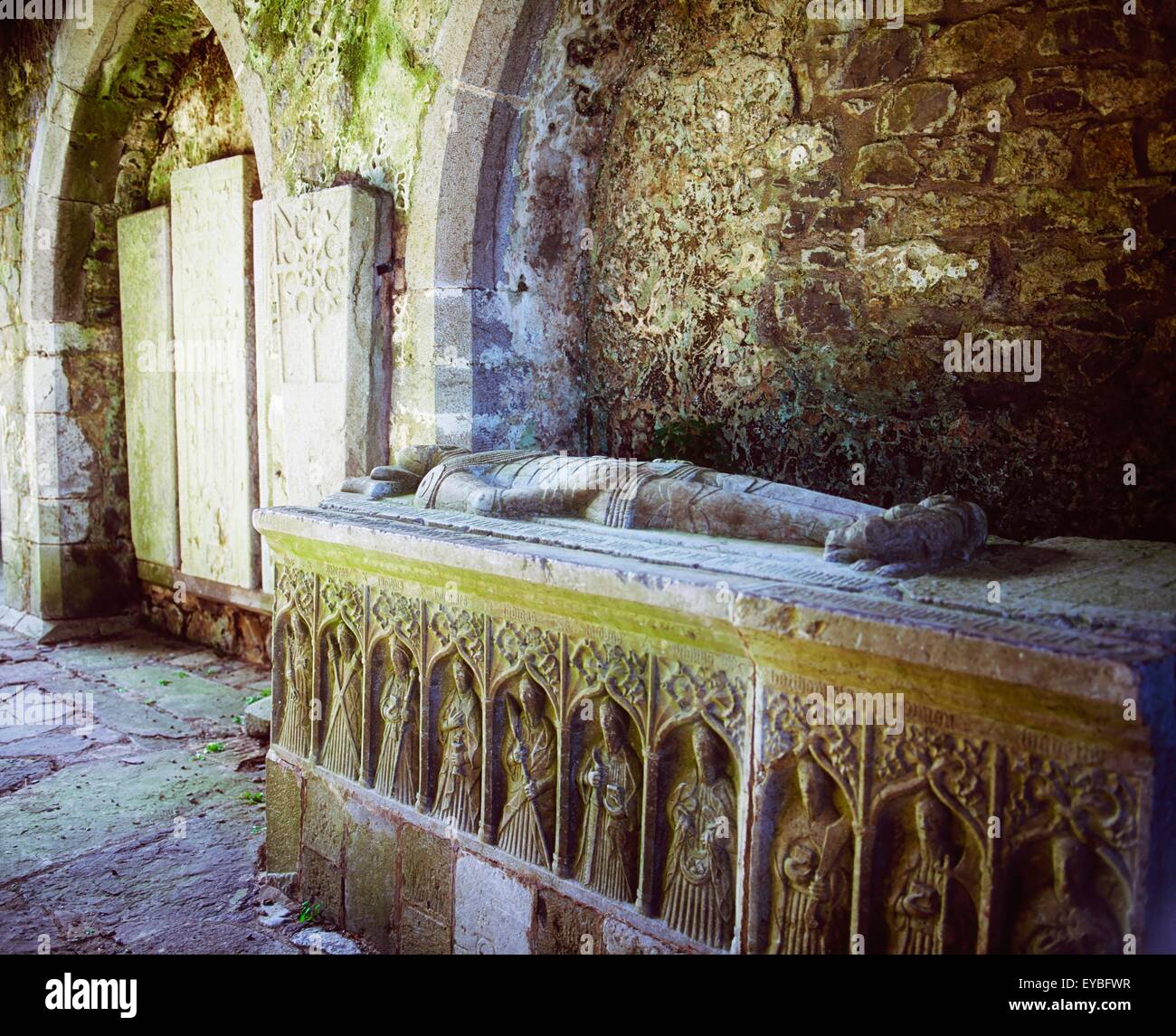 Butler Tomb, Kilcooley Abbey, Co Tipperary, Ireland Stock Photo - Alamy