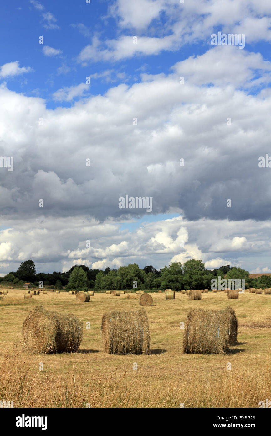 English bales hi-res stock photography and images - Alamy