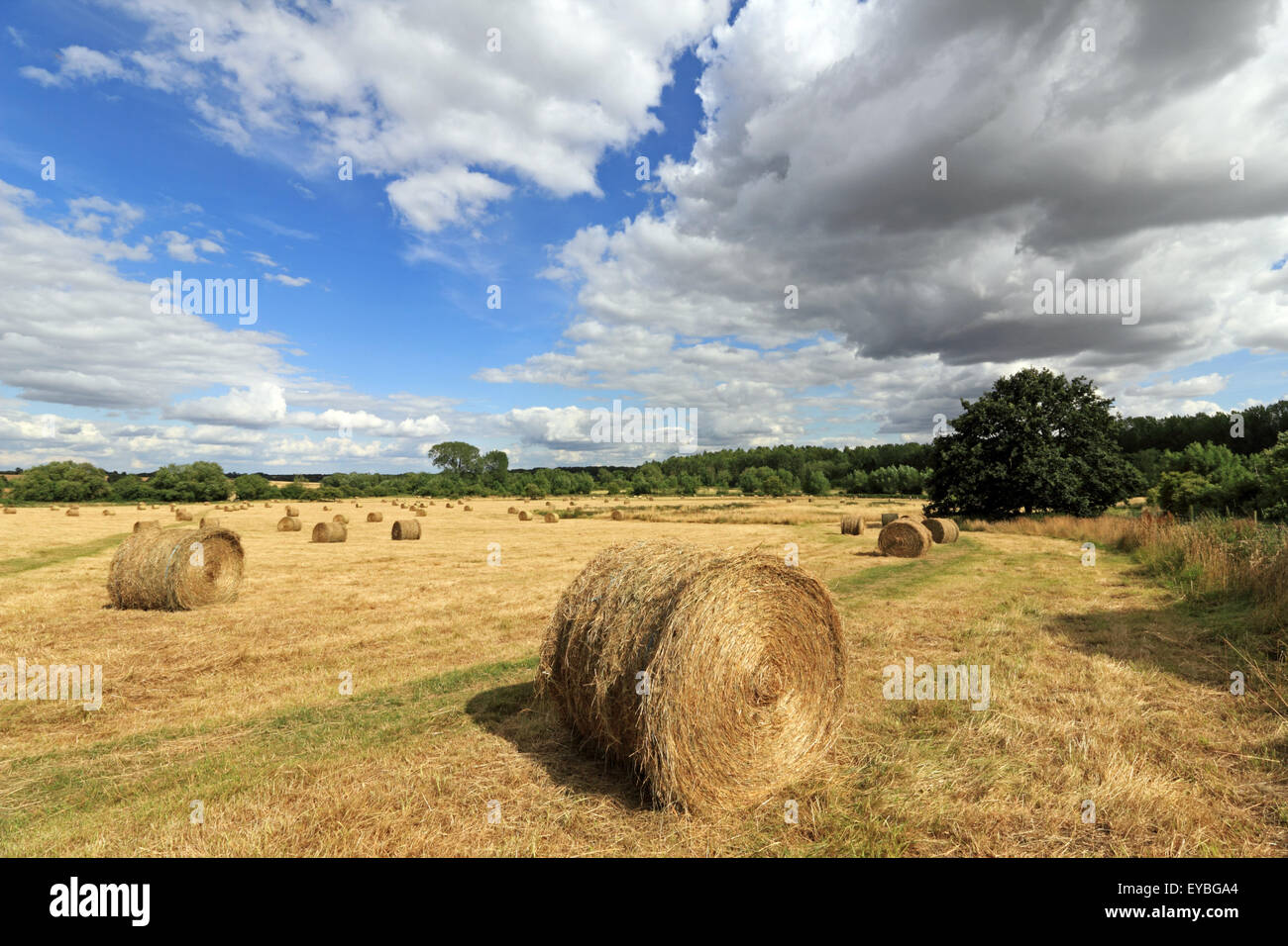 English hay bales hi-res stock photography and images - Alamy