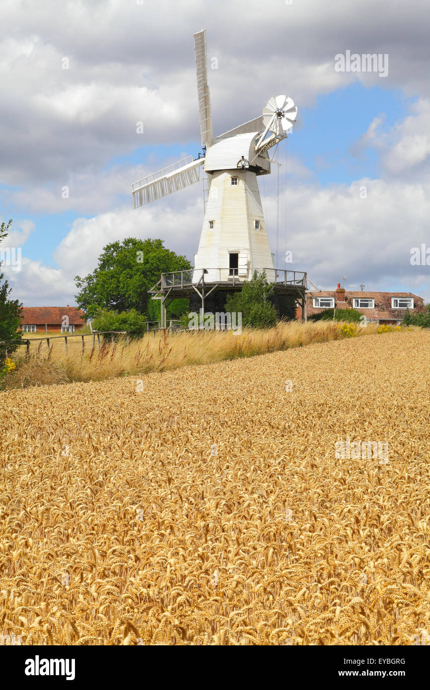 Woodchurch scene hi-res stock photography and images - Alamy