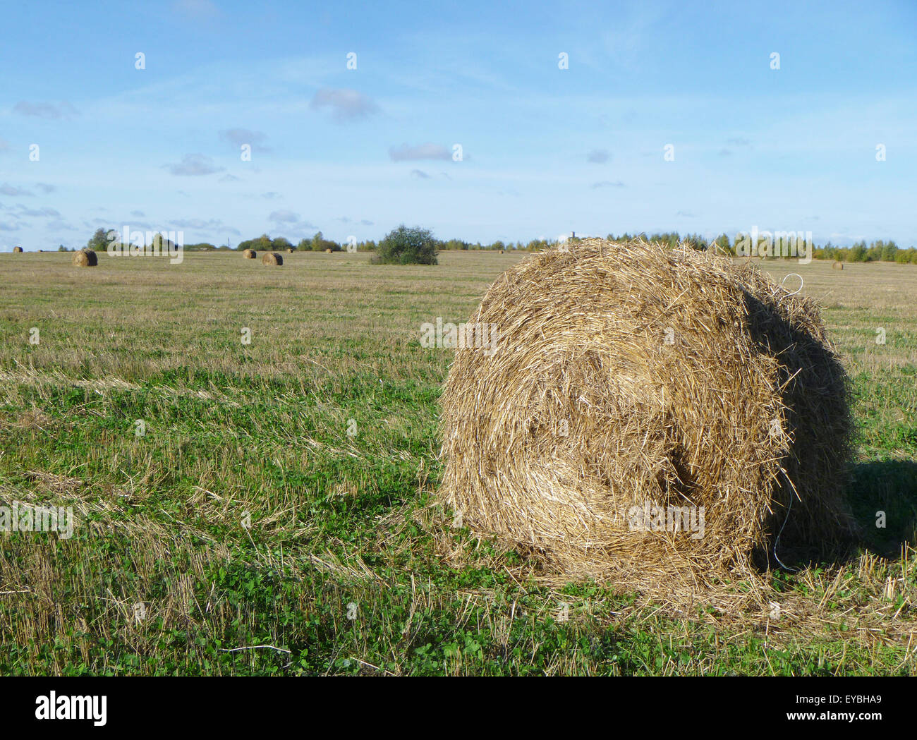 Field r hi-res stock photography and images - Alamy