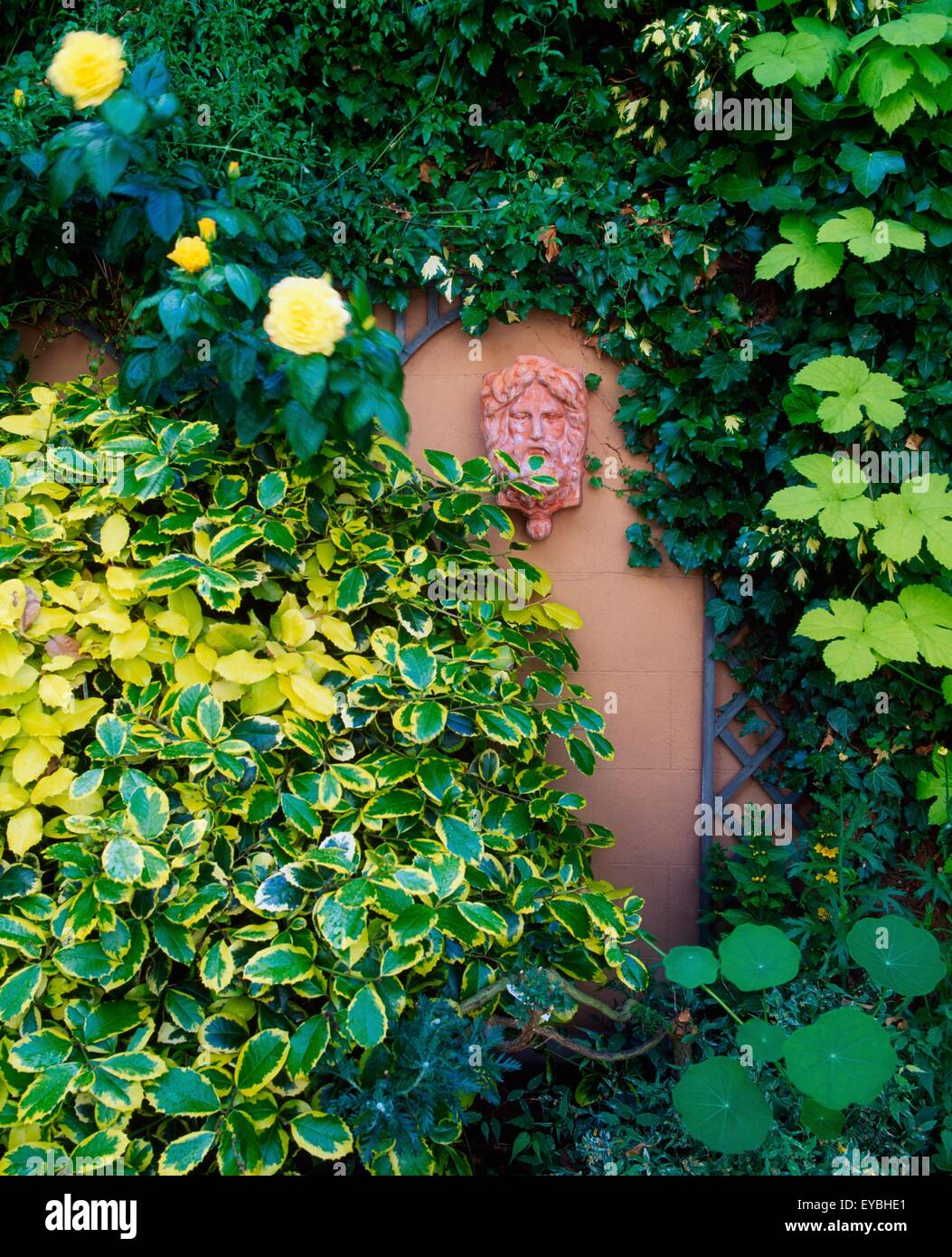 Fairfield Lodge, Monkstown, Co Dublin, Ireland; Courtyard Garden Stock ...