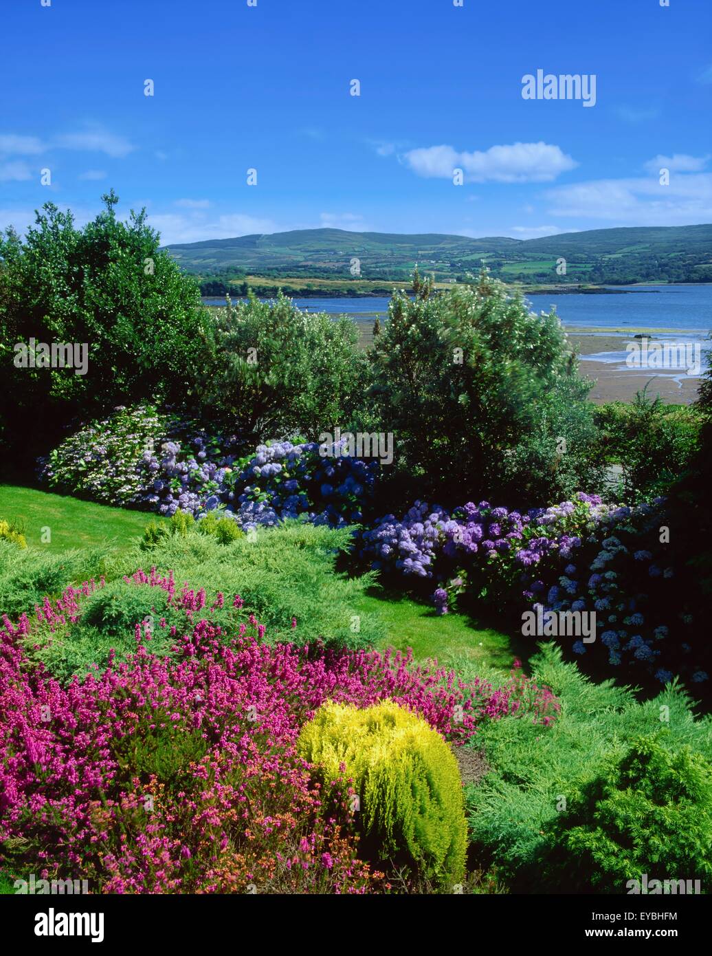 Dunmanus bay cork ireland hi-res stock photography and images - Alamy