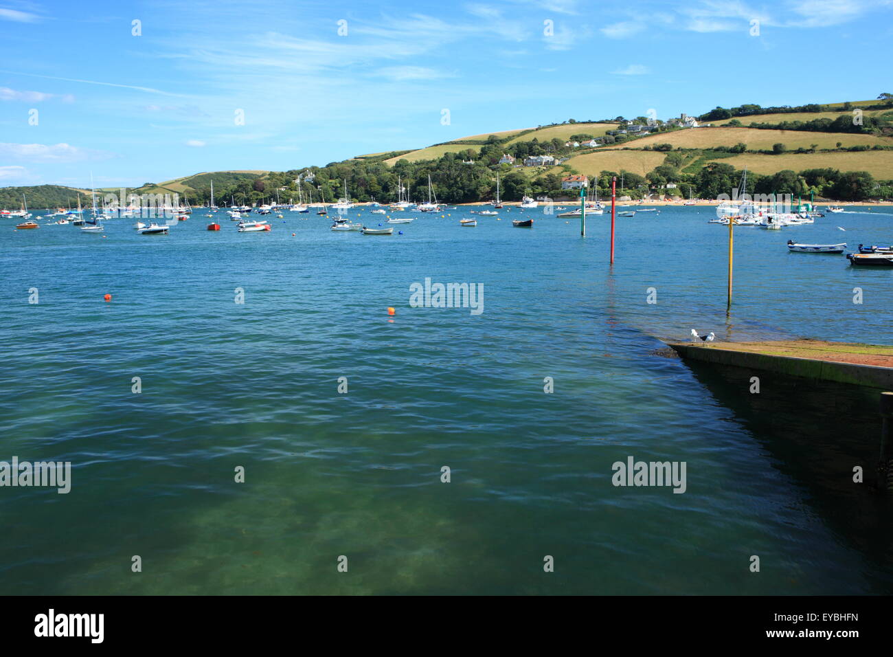 Salcombe, sunny summers day, Devon, England, UK Stock Photo - Alamy