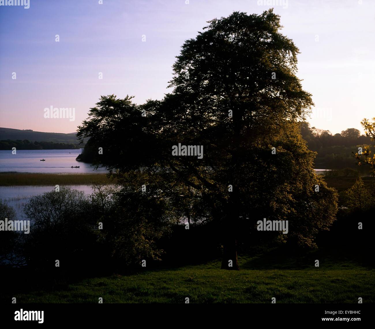 Lough arrow hi-res stock photography and images - Alamy