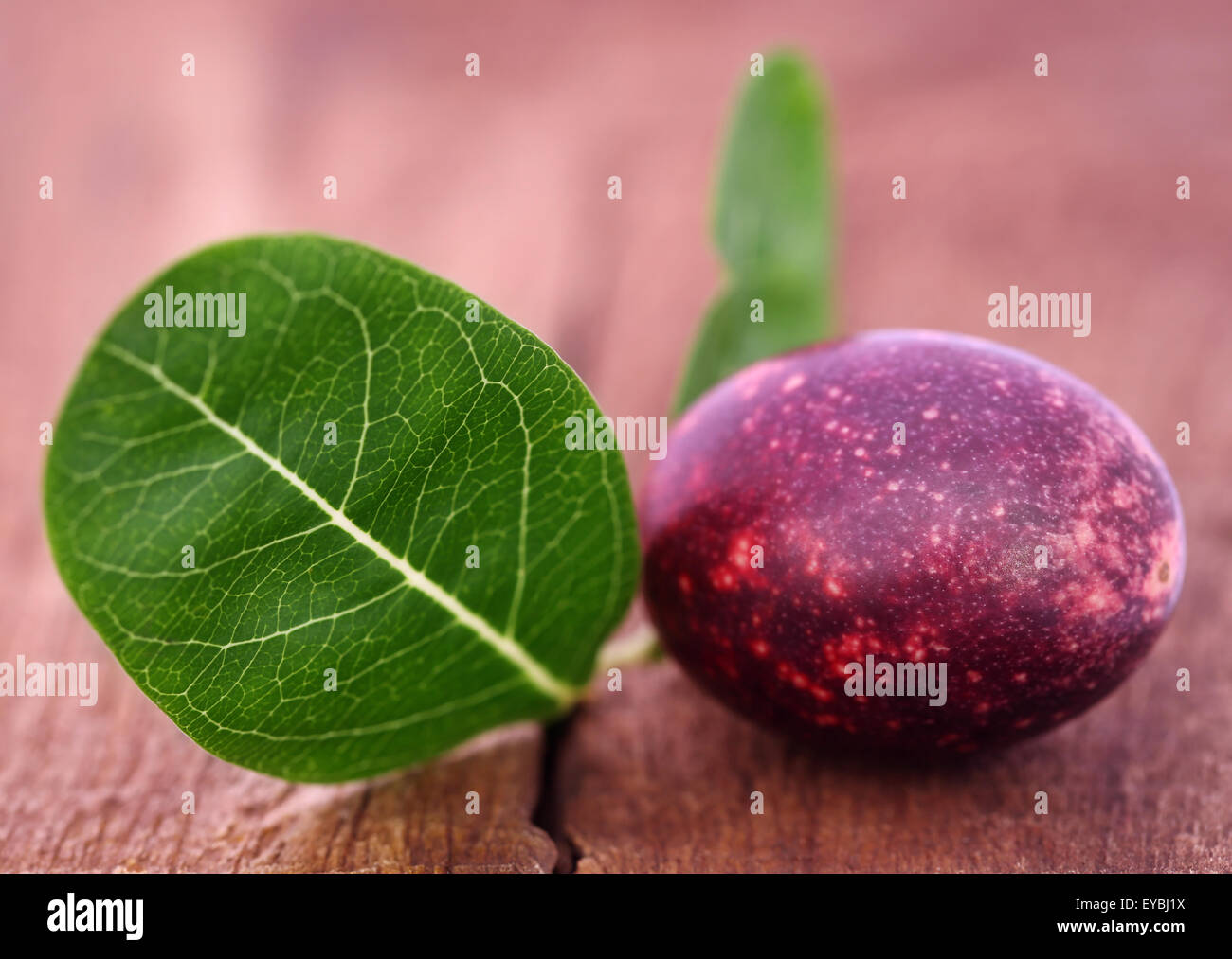 Koromcha or Carandas of Southeast Asia on wooden surface Stock Photo ...