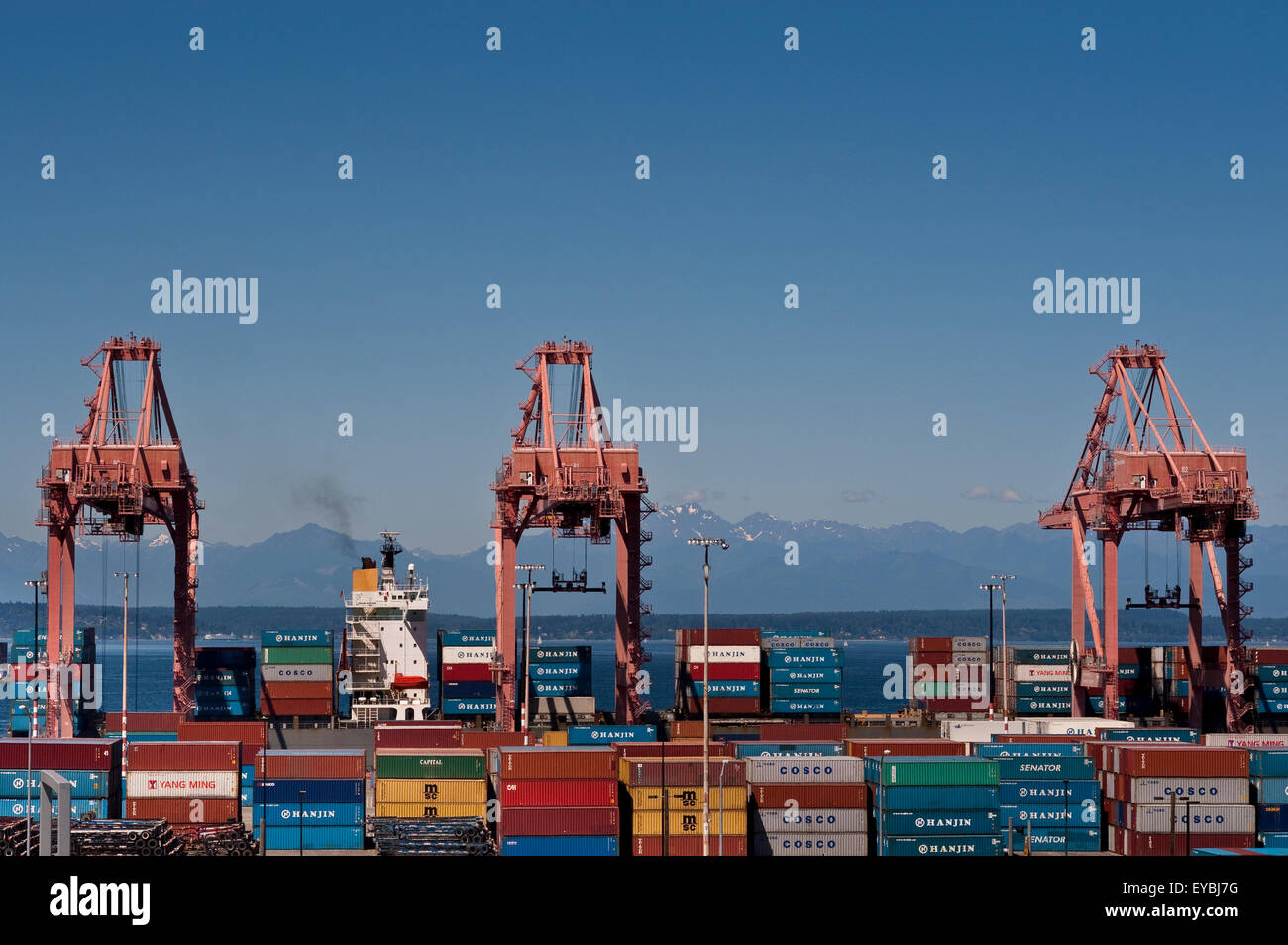 Port of Seattle with large cranes unloading cargo ship along Seattle ...