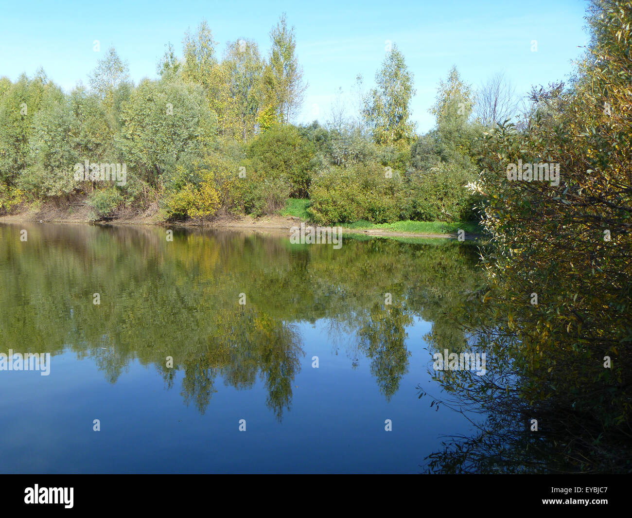 River landscape with reflection Stock Photo - Alamy
