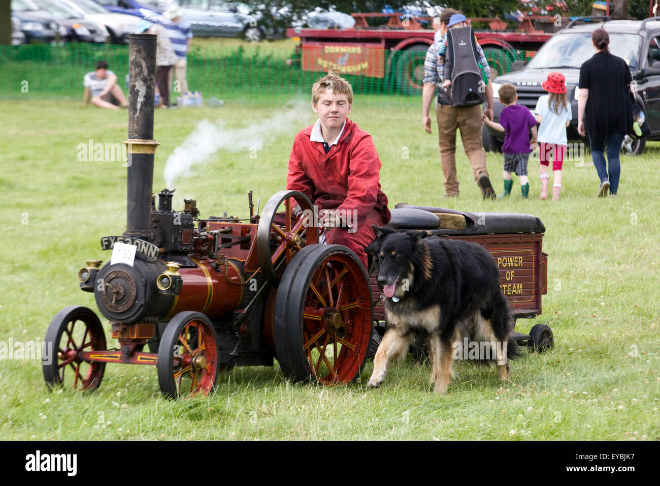 Miniature Steam Engine with Dog along side of it Stock Photo - Alamy