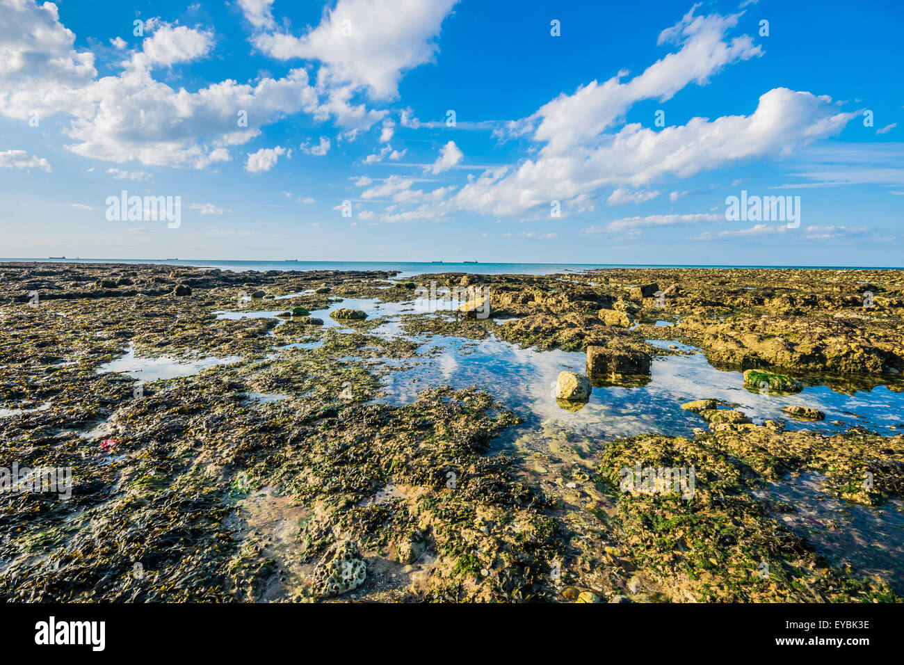 The rock-pools of Botany Bay in Kent at low tide Stock Photo - Alamy