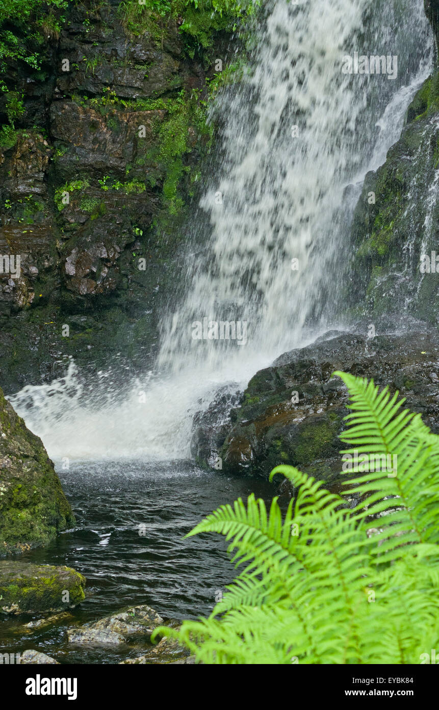 Buck loop waterfall hi-res stock photography and images - Alamy