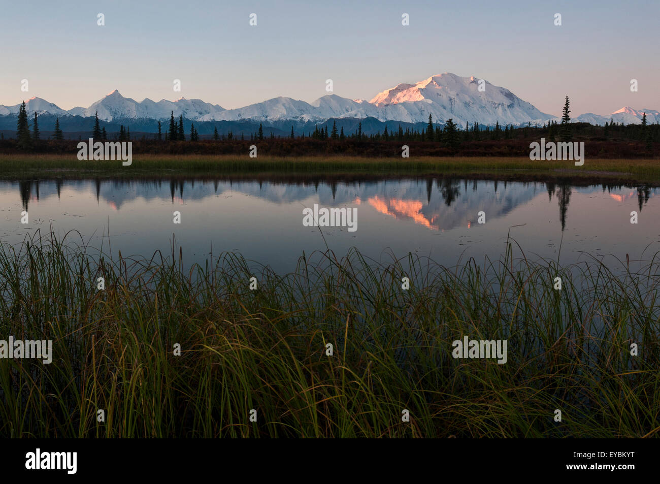 Denali Reflection Pond High Resolution Stock Photography and Images - Alamy