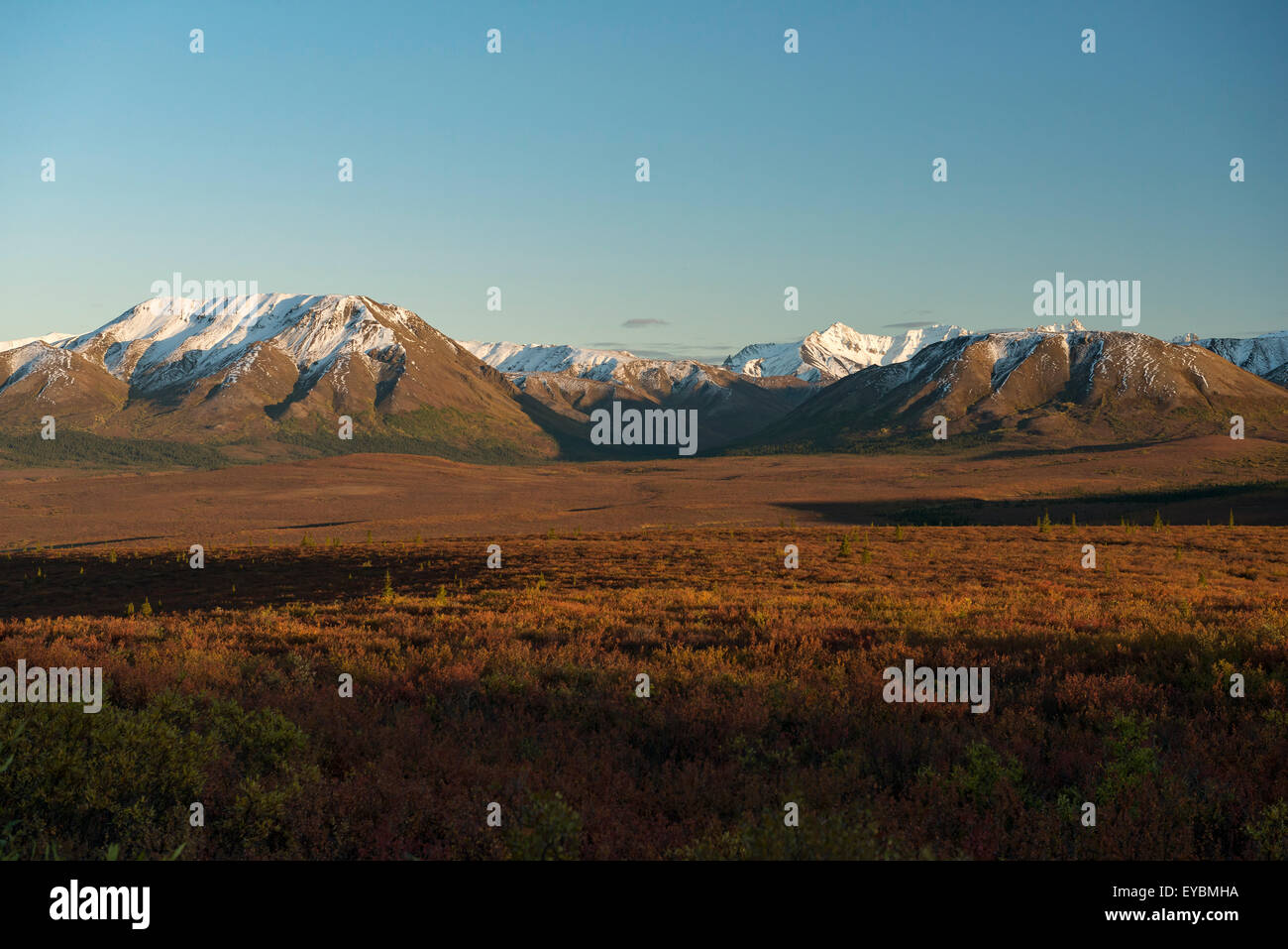 Autumnal Landscape in Denali National Park Stock Photo - Alamy