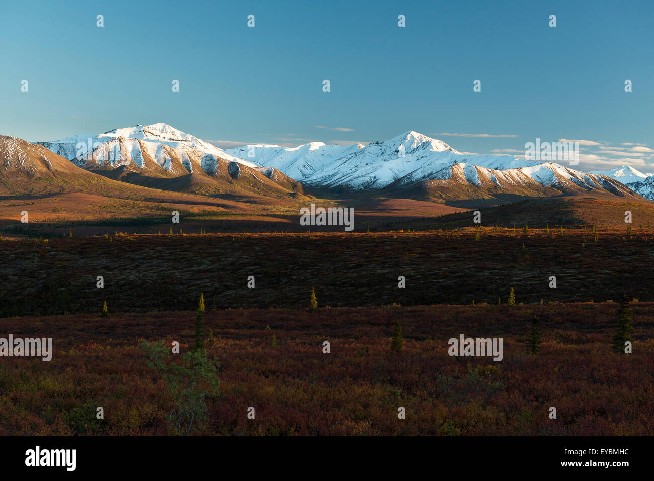 Denali state park and preserve hi-res stock photography and images - Alamy