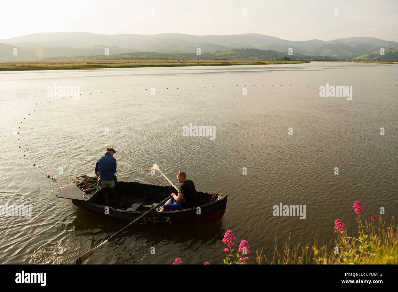 Seine netters on the Dyfi: Licensed fishermen using traditional 'seine ...